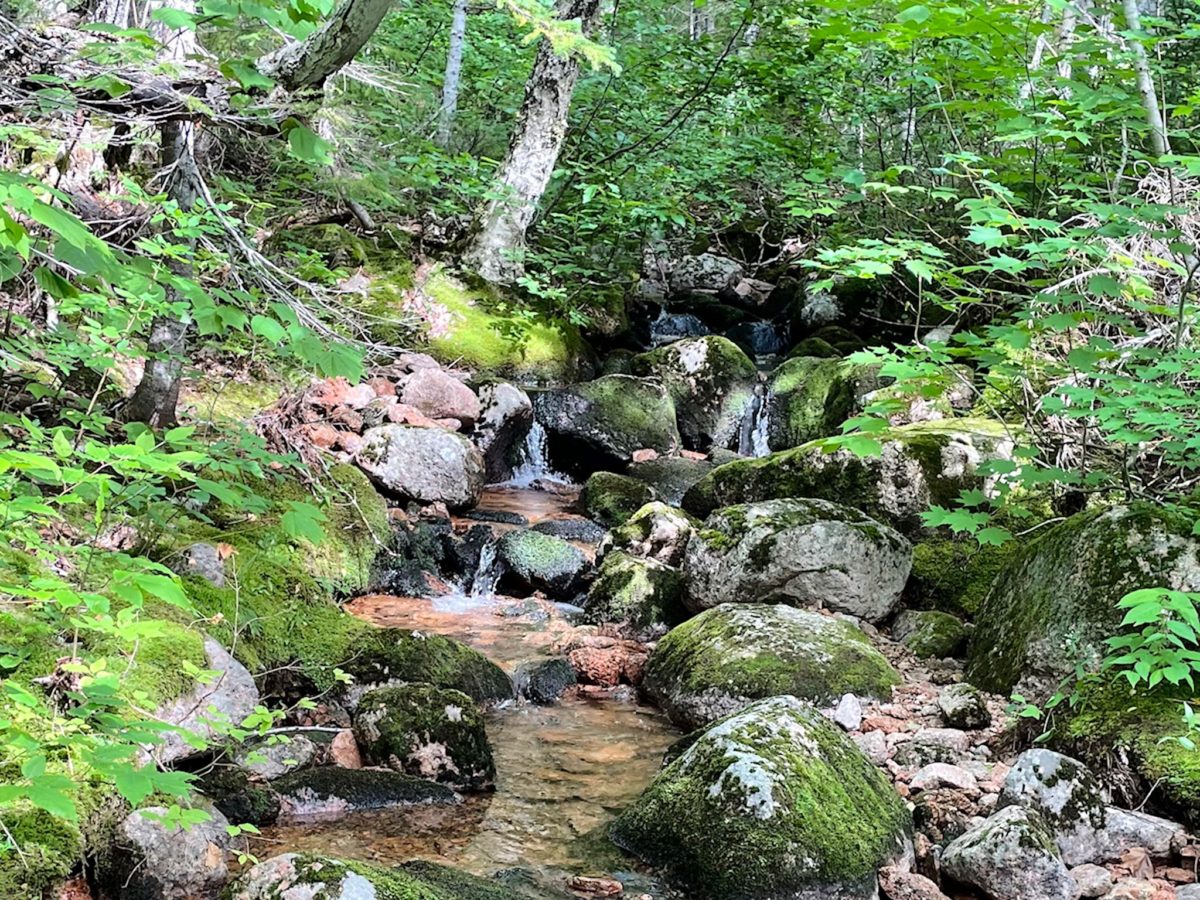 Cape Breton Highlands National Park – The Destinators