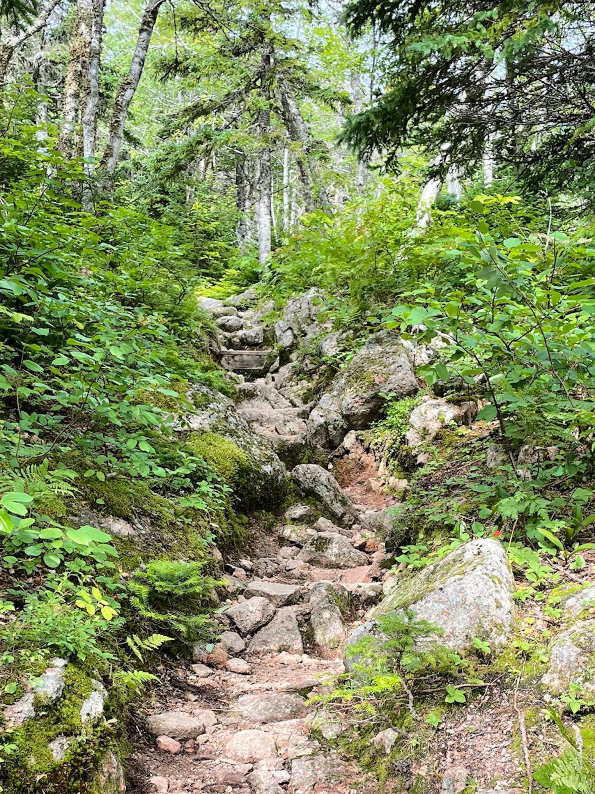 Cape Breton Highlands National Park – The Destinators