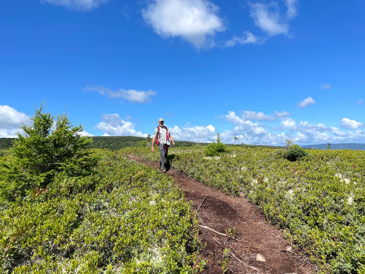Cape Breton Highlands National Park – The Destinators